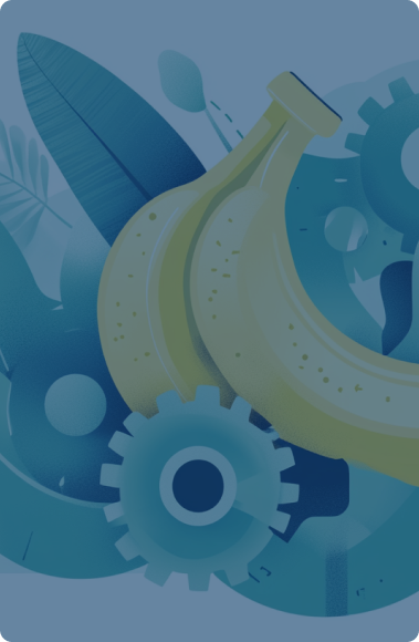 BAP - Banana process optimization - EKS Site